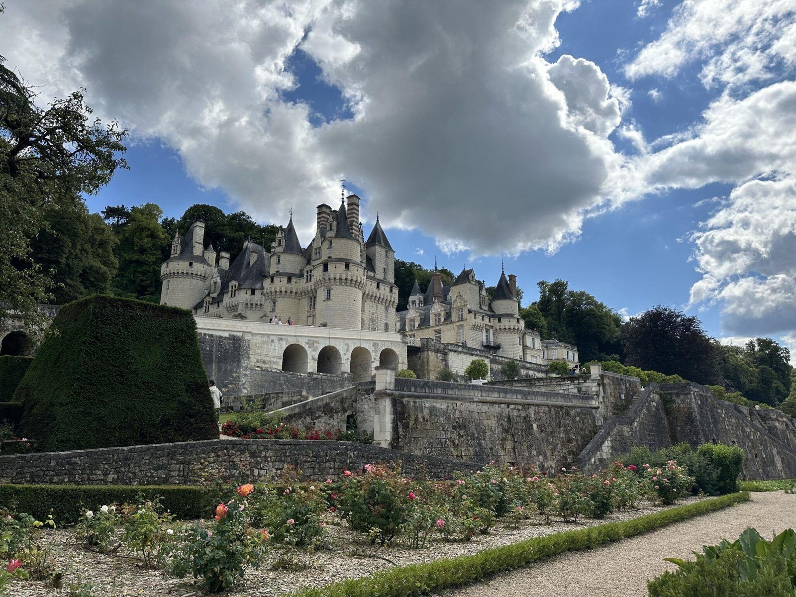 Ruta por los Castillos del Loira: Día 6 - Chinon - Rivau - Ussé [CON ...